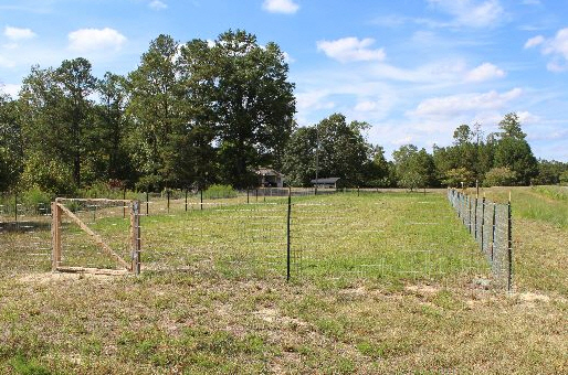 Another great crop of weeds this year, dang it – Malcolm's Round Table