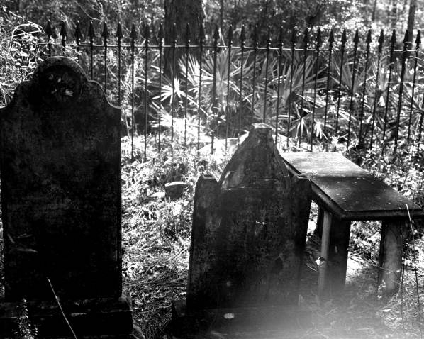 Magnolia Florida, long gone and almost forgotten – Malcolm's Round Table