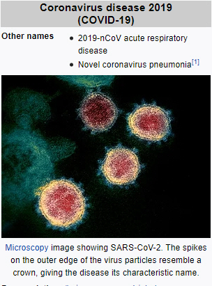 The virus may impact my travel plans – yours, too? – Malcolm's Round Table