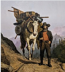 Pack mule, old accident story – Malcolm's Round Table